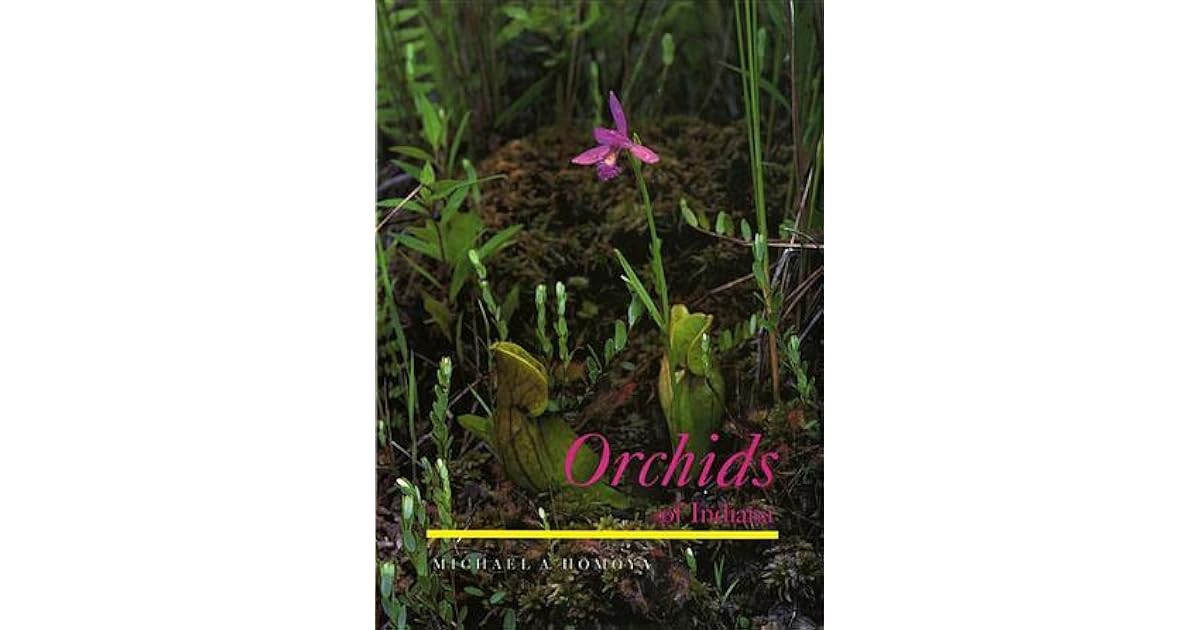 Orchids of Indiana by Michael A. Homoya