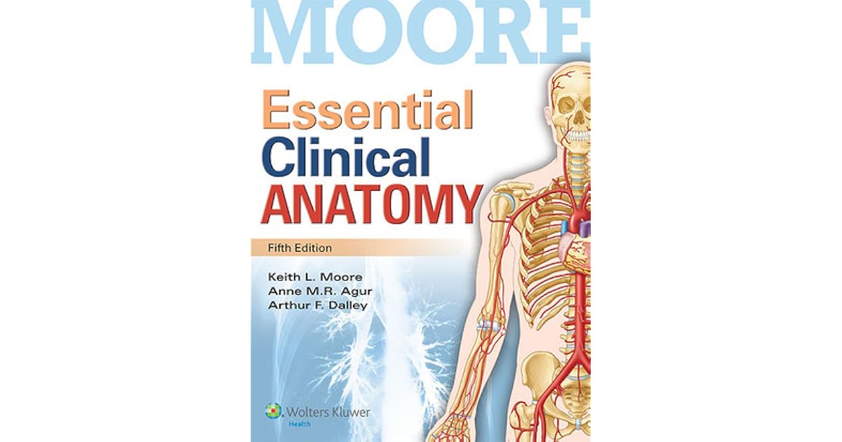 Essential Clinical Anatomy by Keith L. Moore