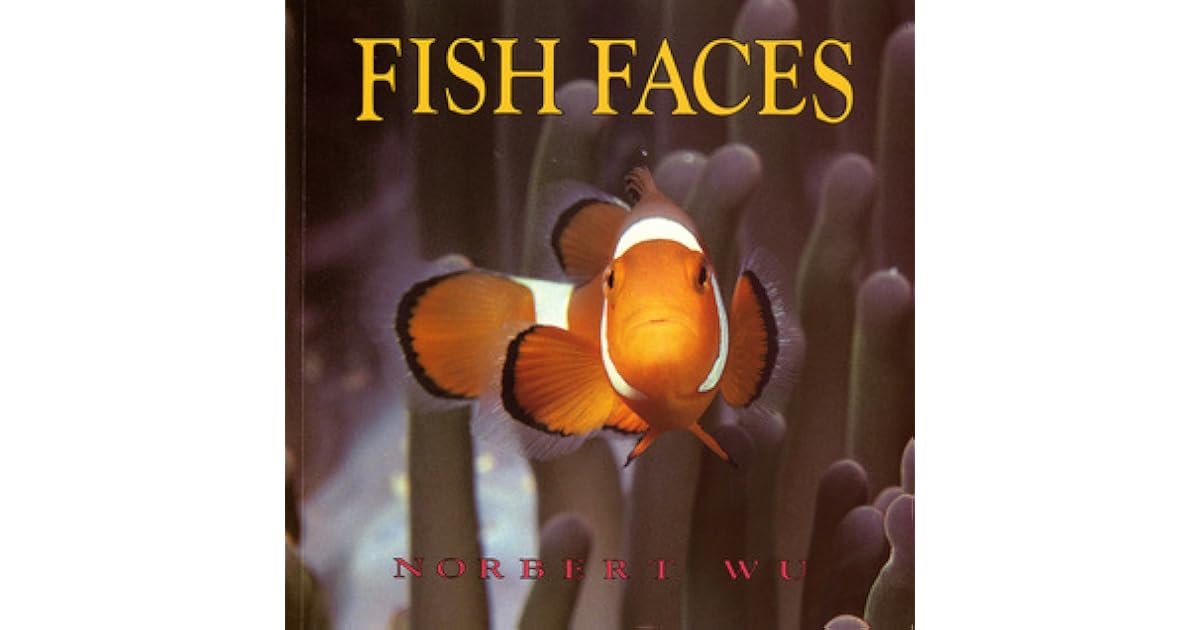 Fish Faces by Norbert Wu