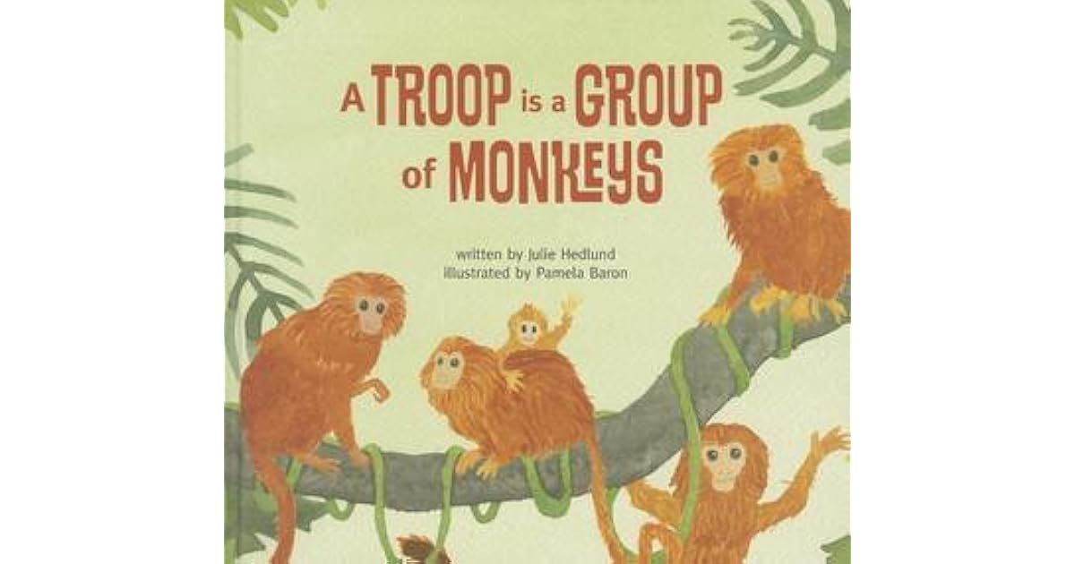 A Troop Is a Group of Monkeys by Julie Hedlund