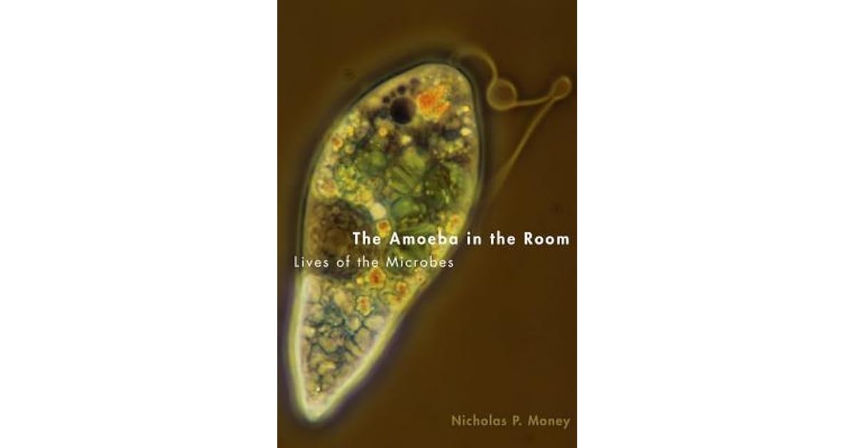 The Amoeba in the Room: Lives of the Microbes by Nicholas P. Money