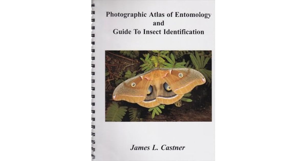 Photographic Atlas of Entomology and Guide to Insect Identification ...