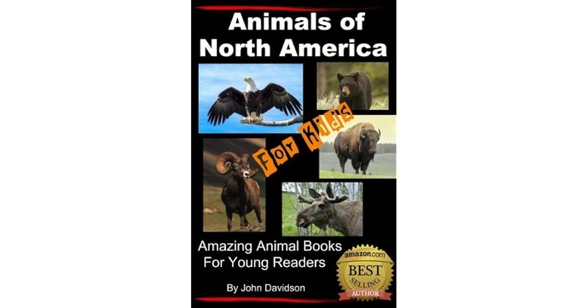 Animals of North America For Kids - Amazing Animal Books for Young ...