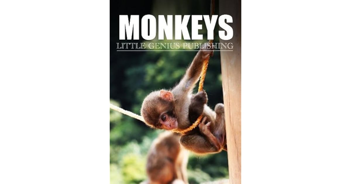 Monkeys - All about Monkeys Children's Picture Book by Little Genius