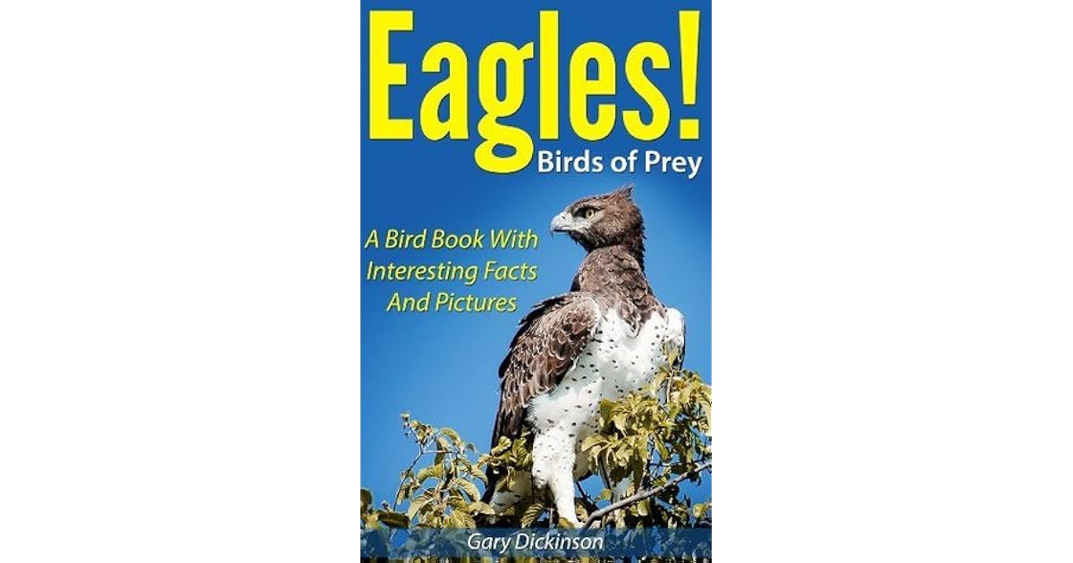 Birds of Prey: Eagles! A Bird Book About Eagles Featuring The Bald And ...
