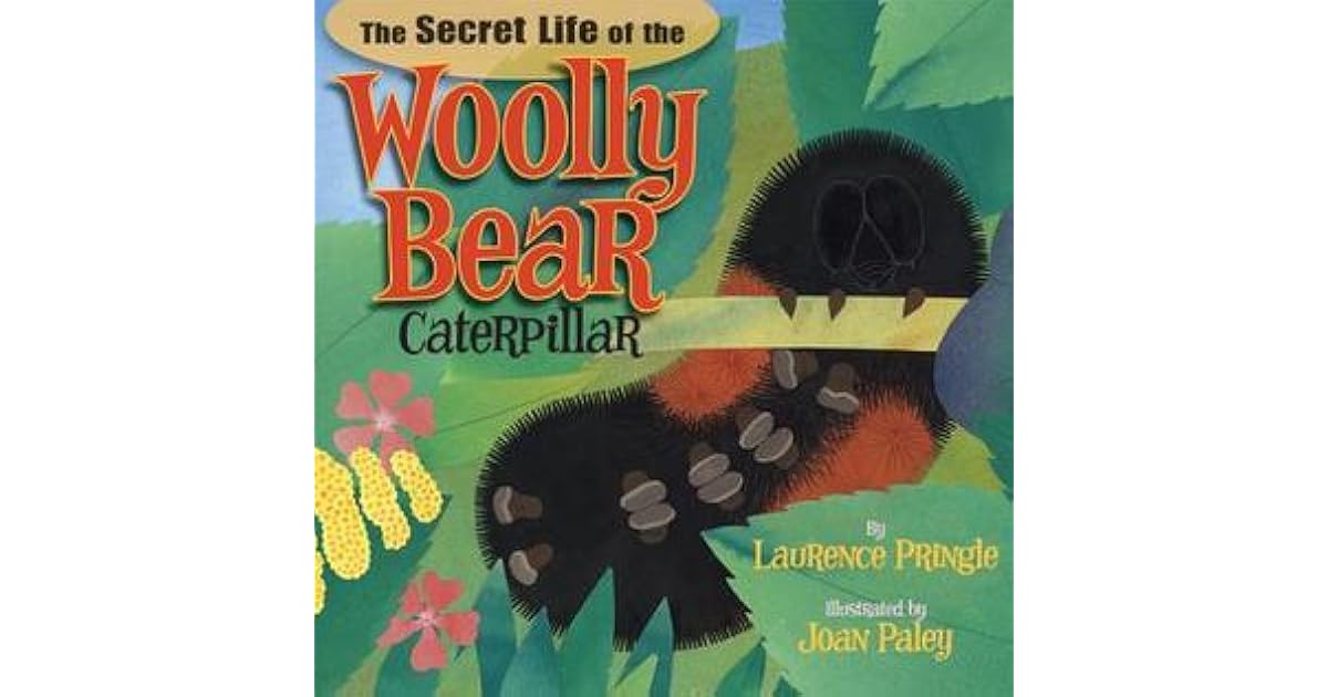 The Secret Life of the Woolly Bear Caterpillar by Laurence Pringle