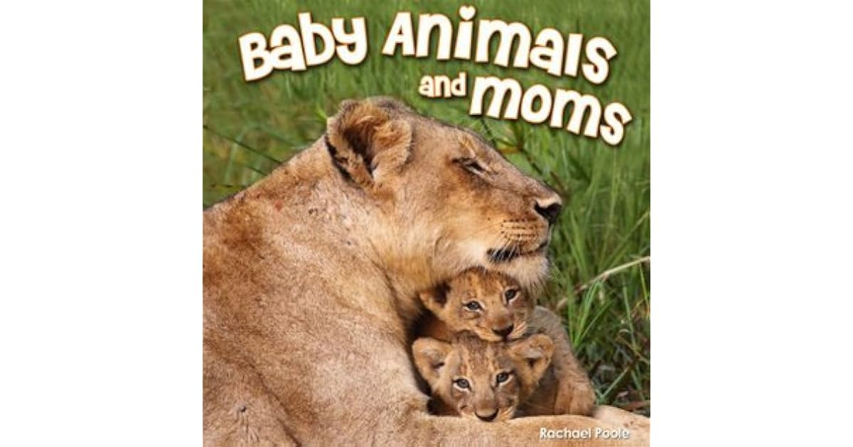 A Mother's Love: Adorable Mother and Baby Animals Picture Book For Kids ...