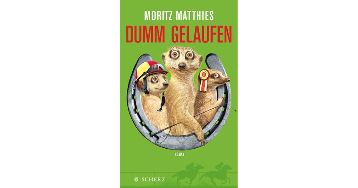 Dumm gelaufen (Ray & Rufus, #3) by Moritz Matthies