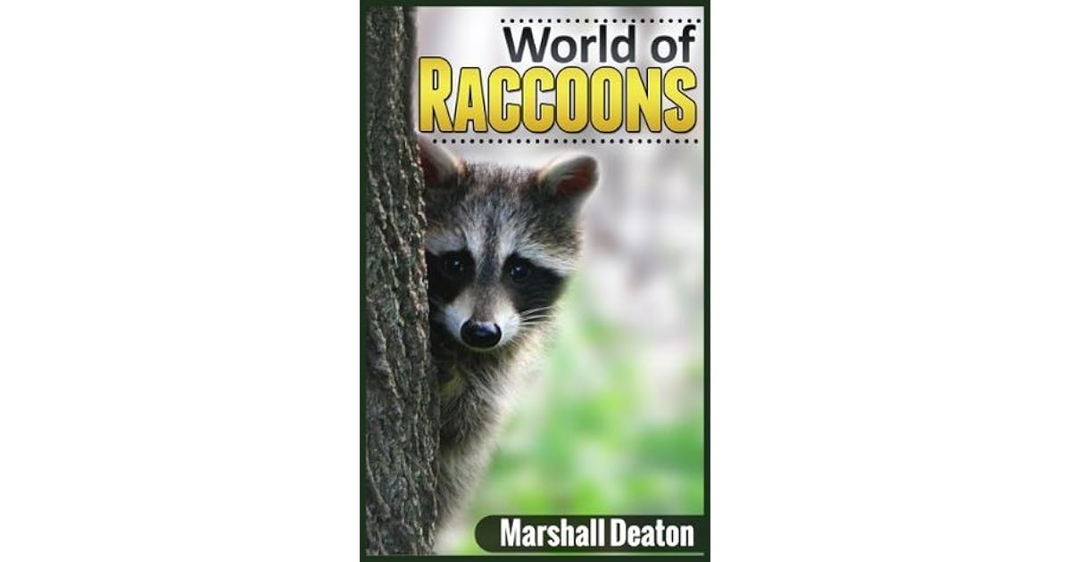 World of Raccoons: An Entertaining Pictures and Fascinating Facts Book ...