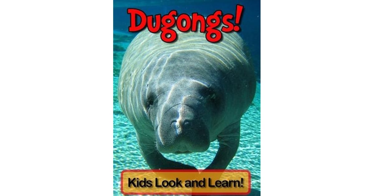 Dugongs! Learn About Dugongs and Enjoy Colorful Pictures - Look and ...