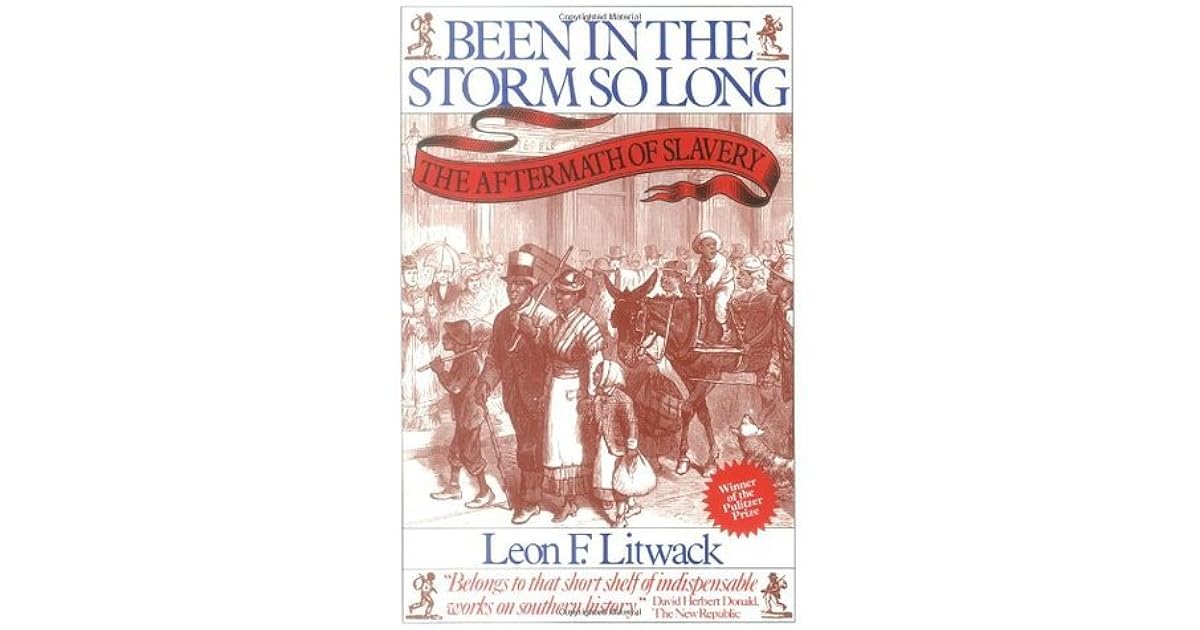 Been in the Storm So Long: The Aftermath of Slavery by Leon F. Litwack