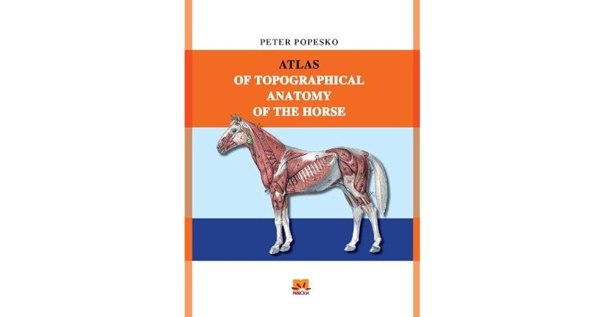 ATLAS OF TOPOGRAPHICAL ANATOMY OF THE HORSE by Peter Popesko