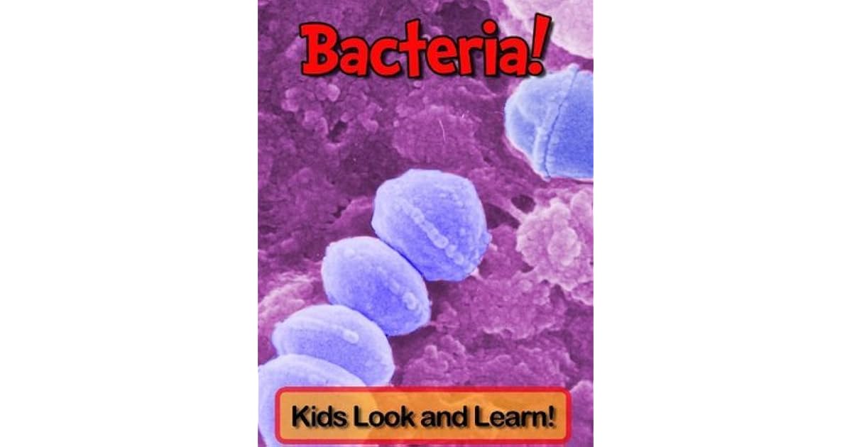 Bacteria! Learn About Bacteria and Enjoy Colorful Pictures - Look and ...