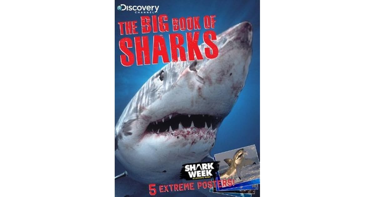 Discovery Channel The Big Book of Sharks by Discovery Channel