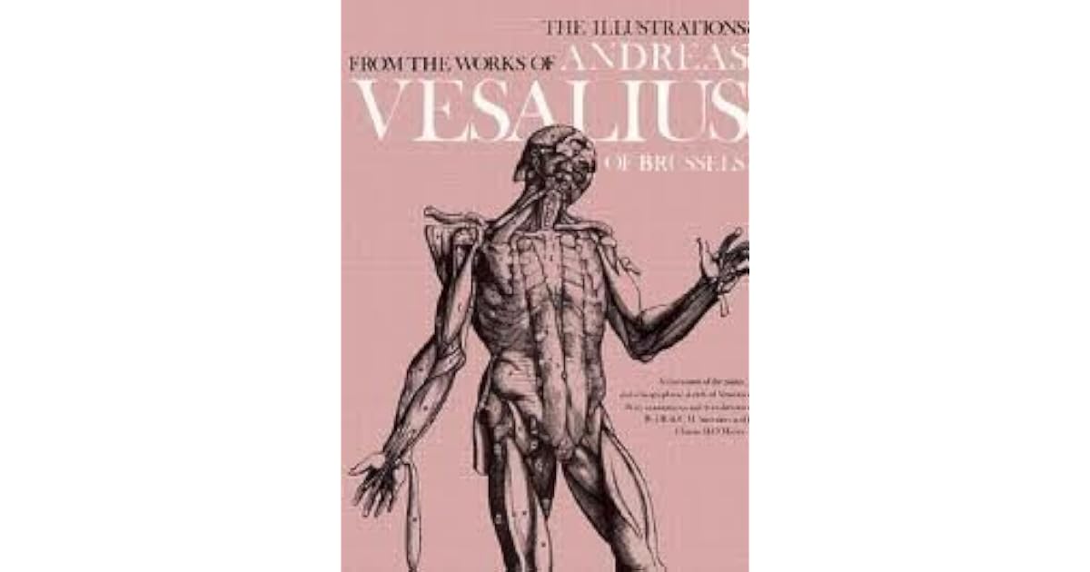 The Anatomical Drawings Of Andreas Vesalius by Andreas Vesalius