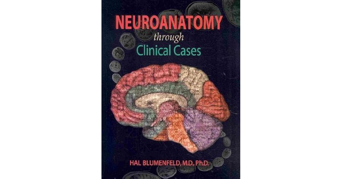 Neuroanatomy Through Clinical Cases, Second Edition with Sylvius 4 by ...