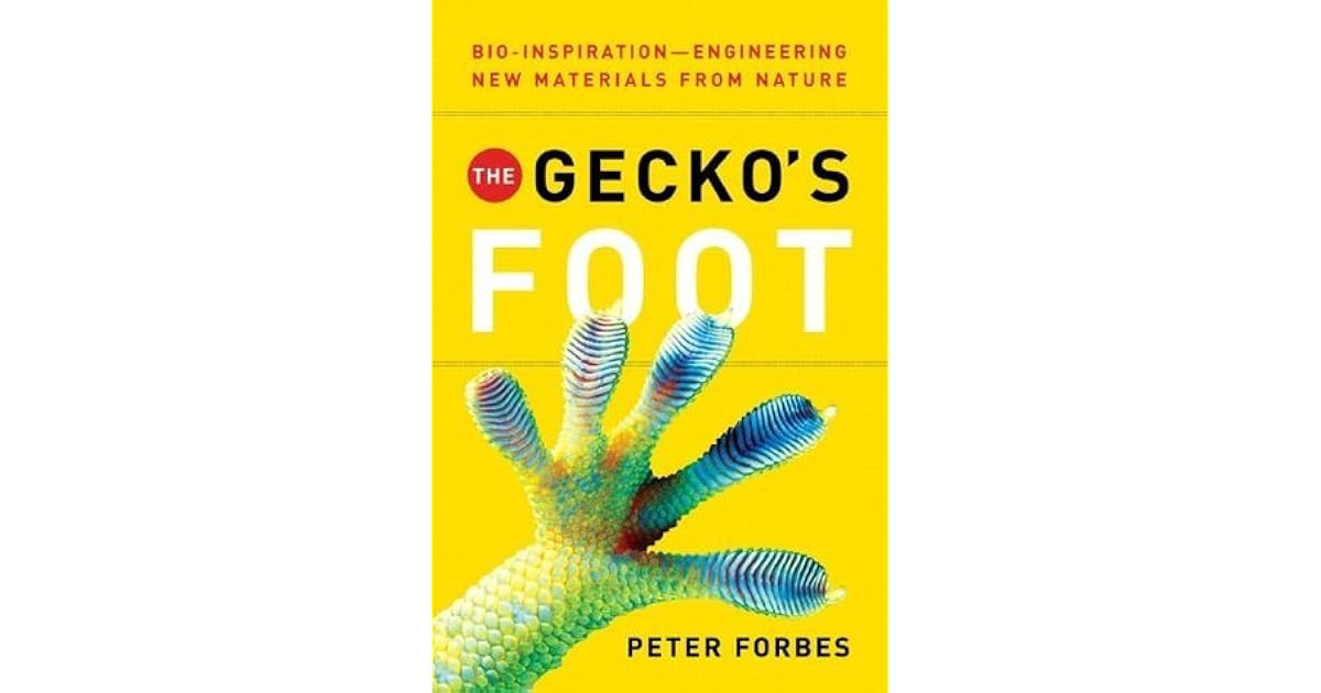 The Gecko's Foot: Bio-inspiration: Engineering New Materials from ...