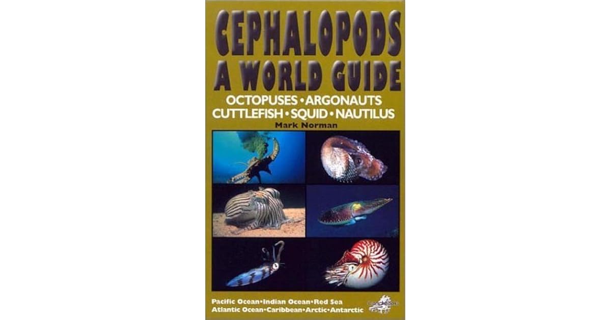 Cephalopods: A World Guide by Mark Norman
