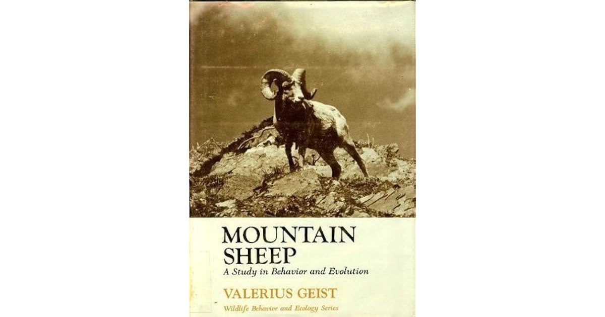 Mountain Sheep: A Study in Behaviour and Evolution by Valerius Geist