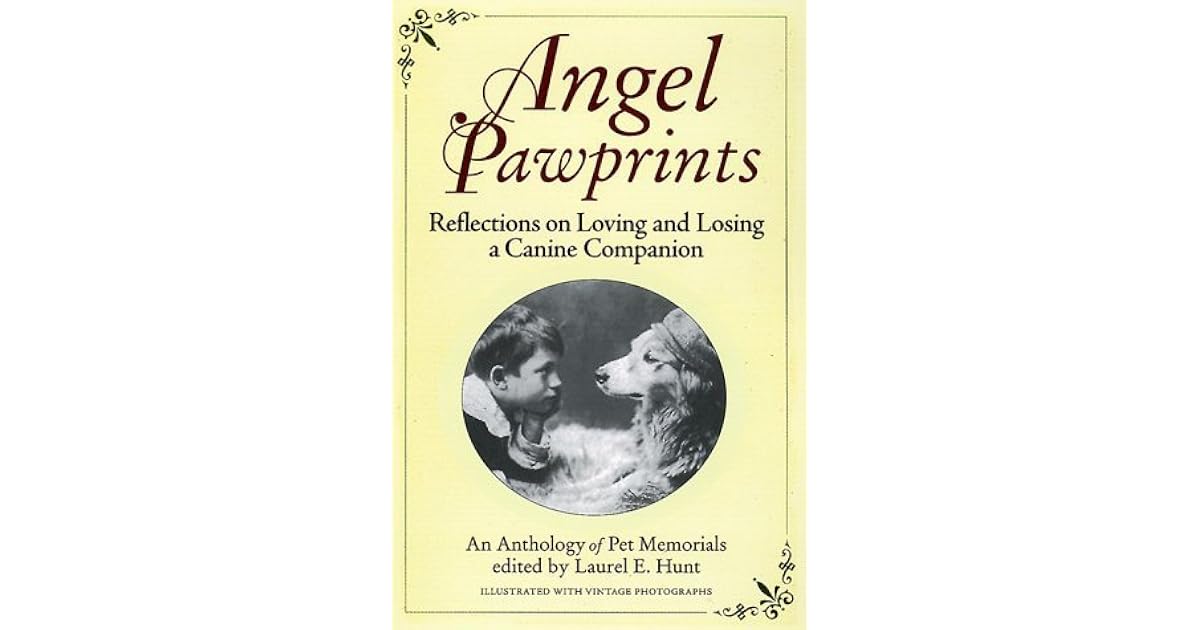 Angel Pawprints: Reflections on Loving and Losing a Canine Companion ...