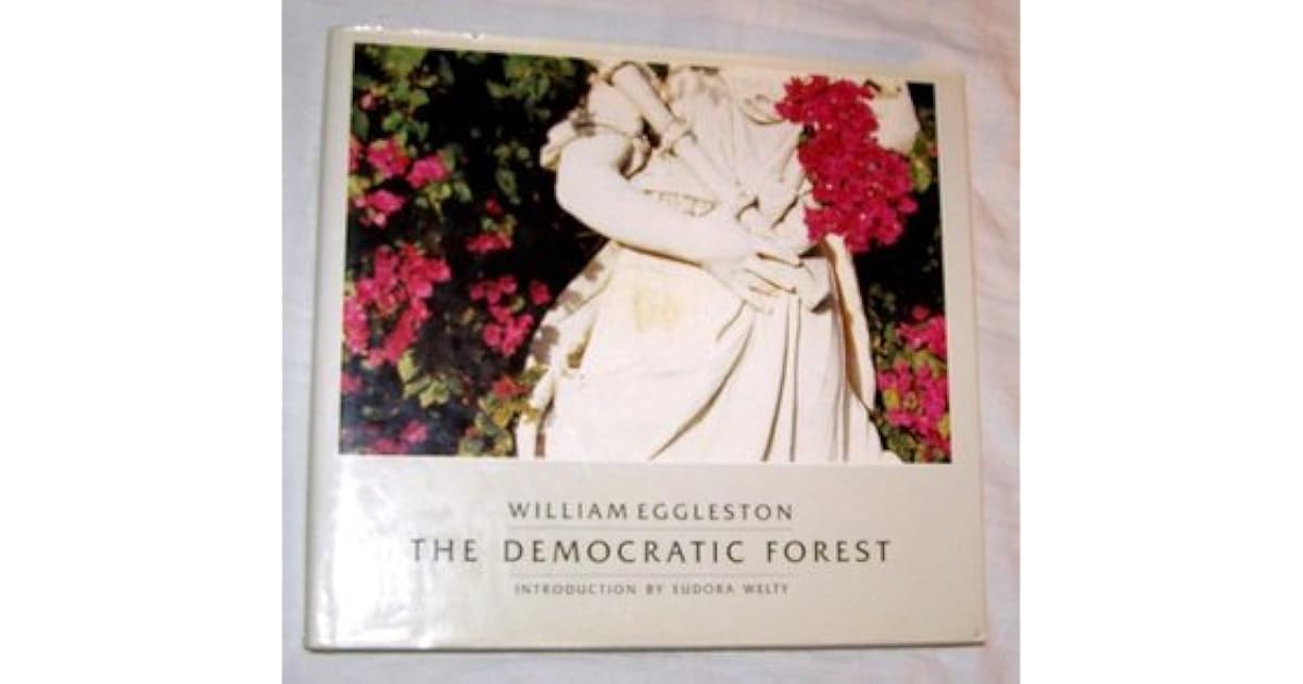 The Democratic Forest by William Eggleston