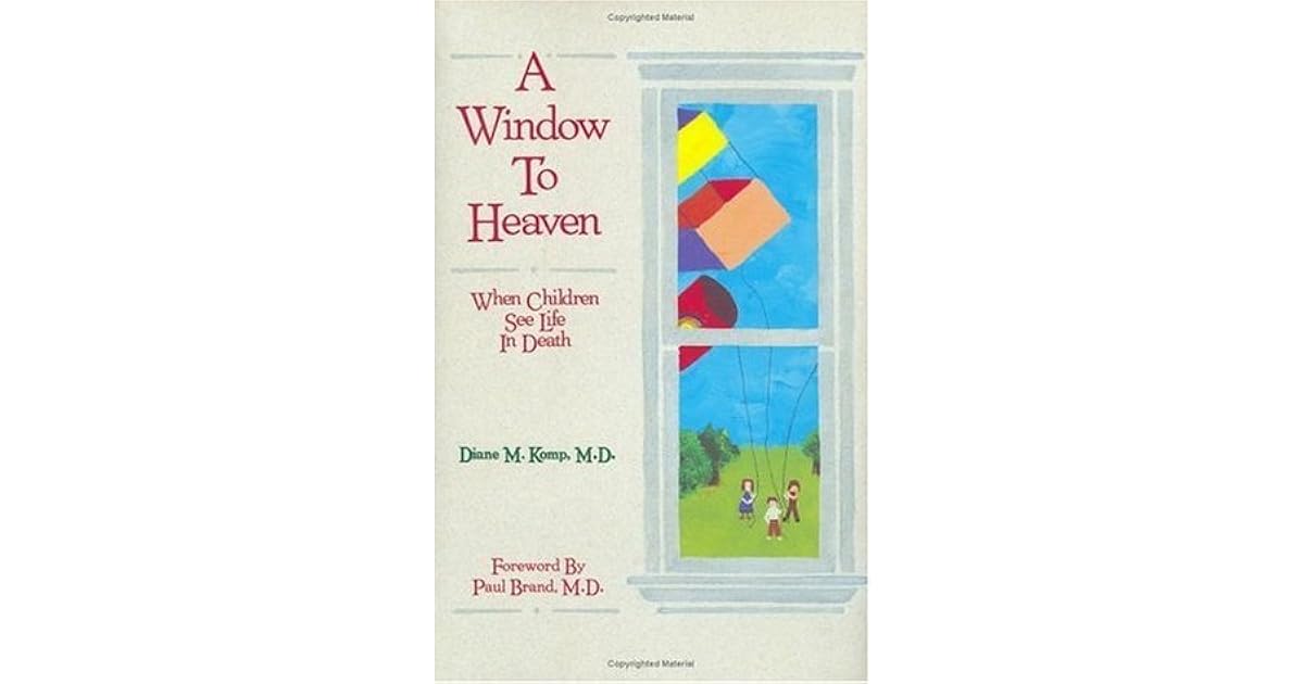 A Window to Heaven: When Children See Life in Death by Diane M. Komp