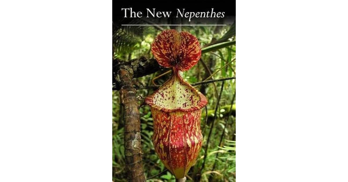 The New Nepenthes by Stewart Mcpherson