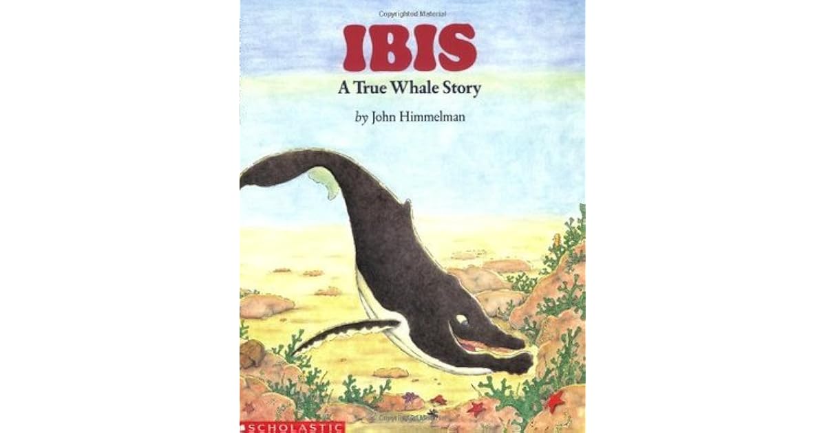 Ibis: A True Whale Story by John Himmelman
