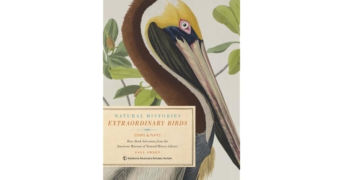 Extraordinary Birds: Essays and Plates of Rare Book Selections from the ...
