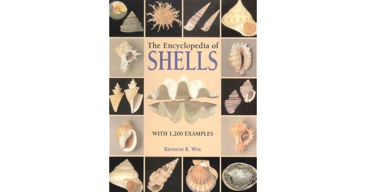 The Encyclopedia of Shells by Kenneth R. Wye