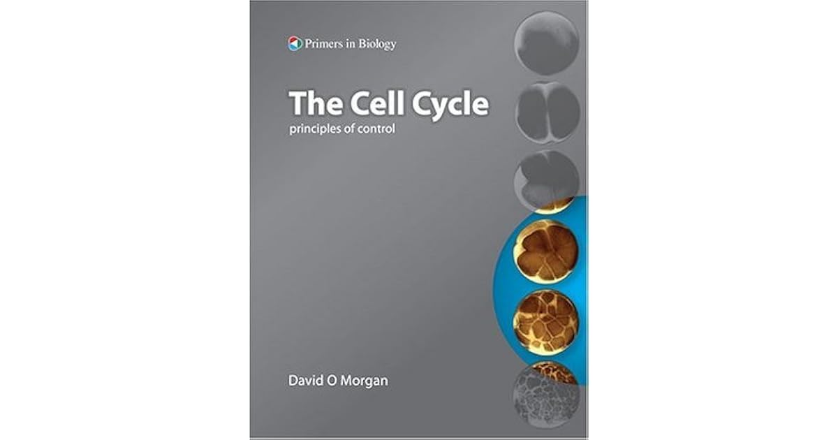 The Cell Cycle: Principles of Control (Primers in Biology) by David O ...