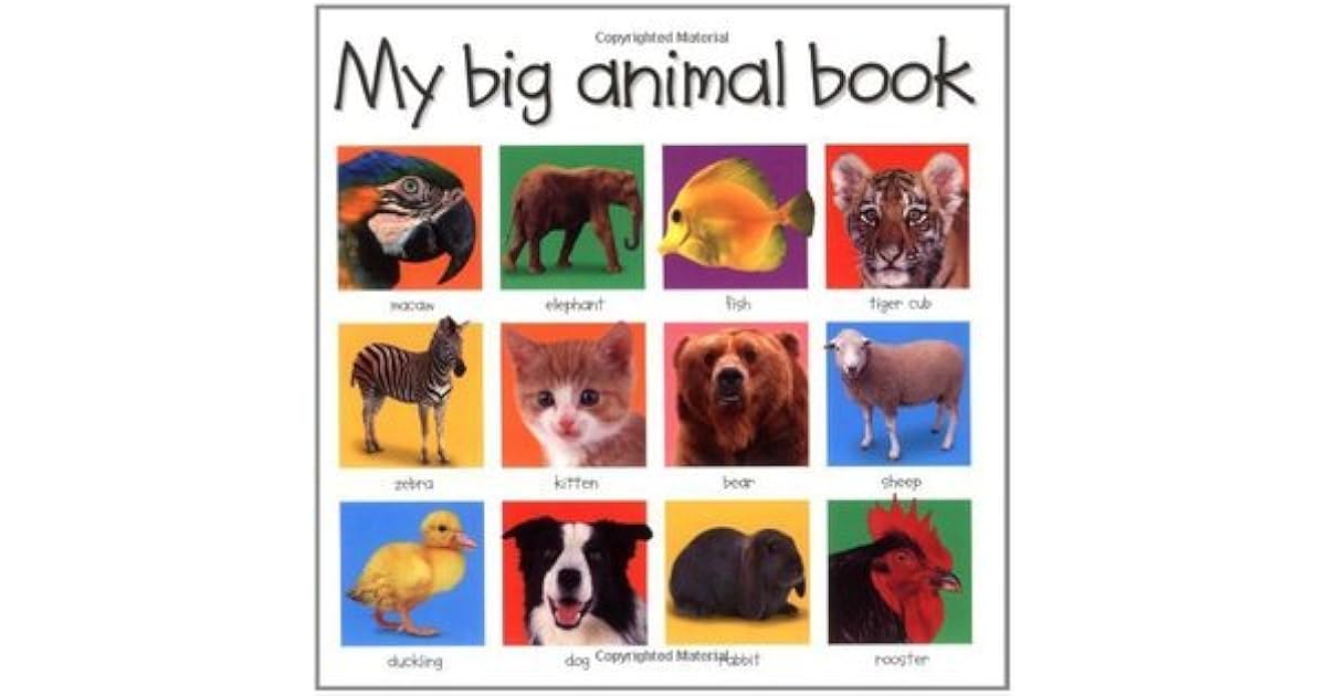 My Big Animal Book by Roger Priddy