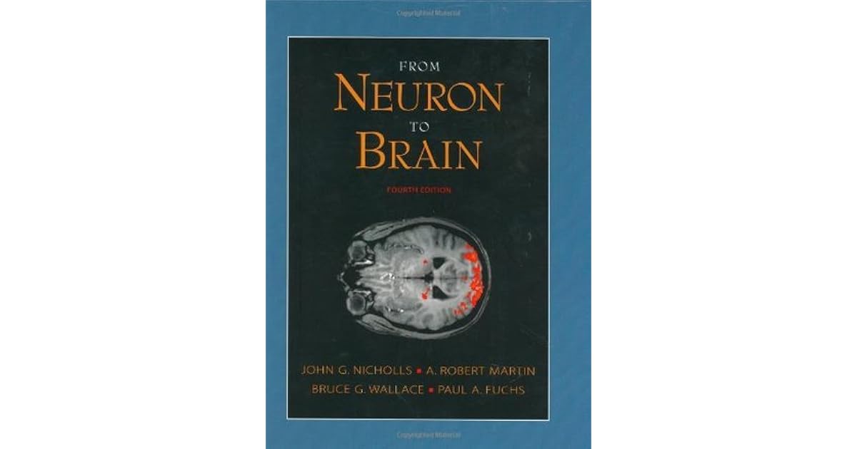 From Neuron to Brain: A Cellular and Molecular Approach to the Function ...