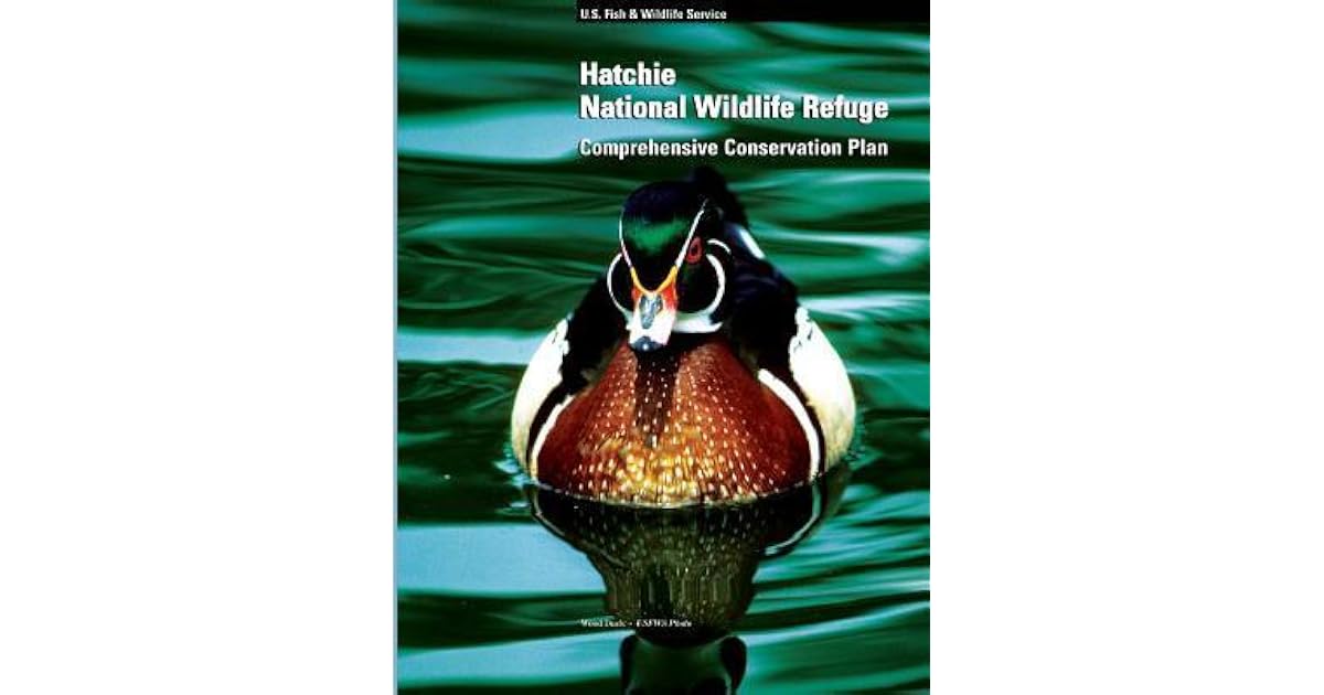 Hatchie National Wildlife Refuge Comprehensive Conservation Plan by ...