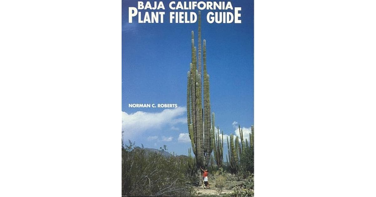 Baja California Plant Field Guide by Norman C. Roberts
