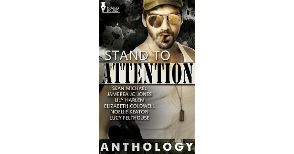 Stand to Attention by Sean Michael