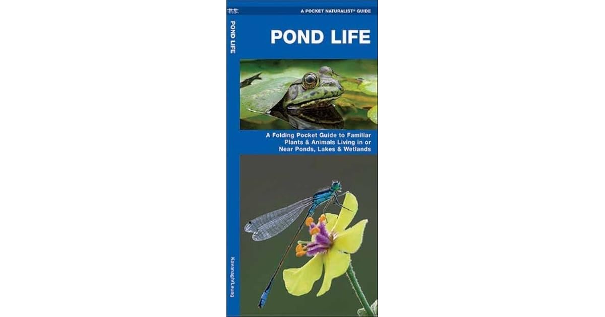 Pond Life: A Folding Pocket Guide to Familiar Plants & Animals Living ...