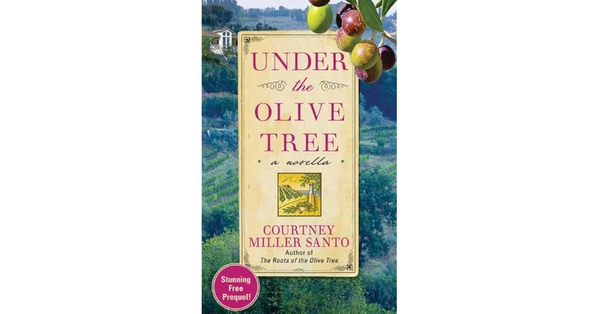 Under the Olive Tree by Courtney Miller Santo