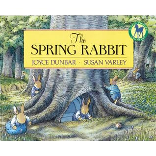 The Spring Rabbit (Picture Yearling Book) by Joyce Dunbar — Reviews ...