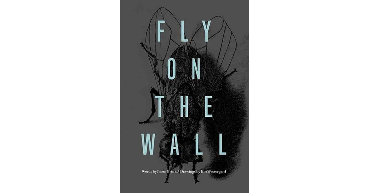 Fly on the Wall by Jason Brink