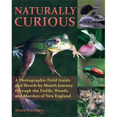 Naturally Curious: A Photographic Field Guide and Month-By-Month ...