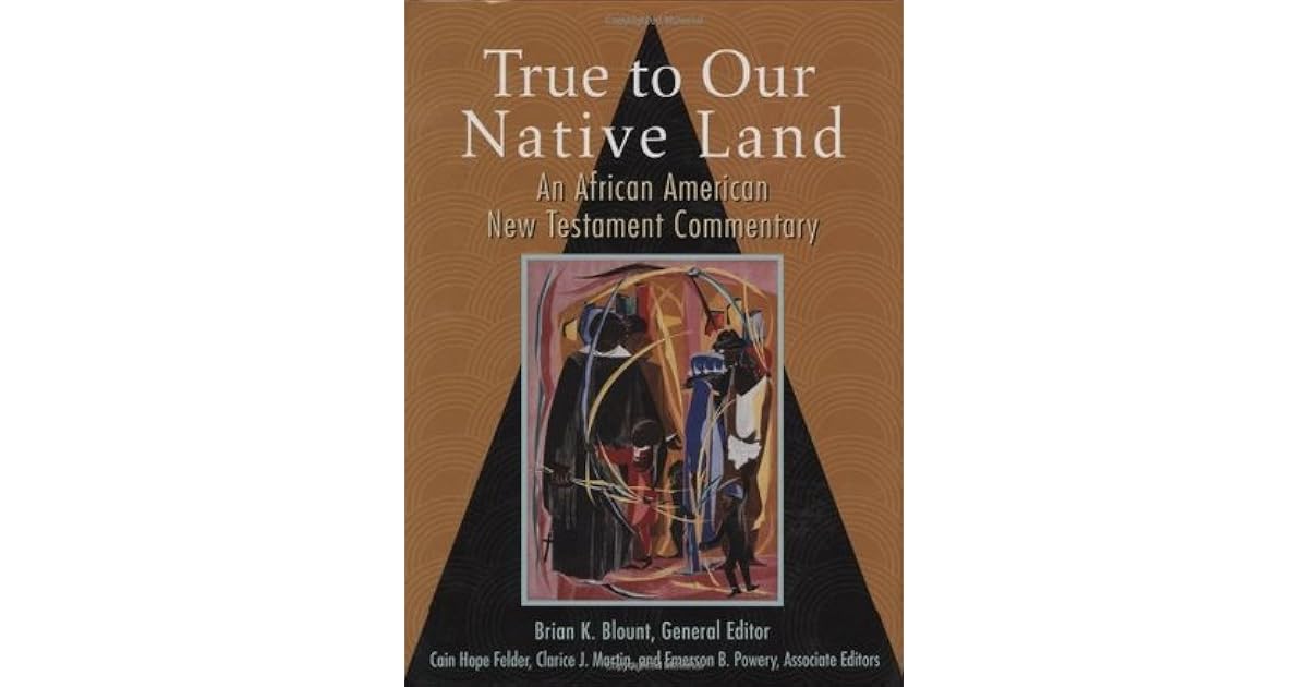 True to Our Native Land: An African American New Testament Commentary ...