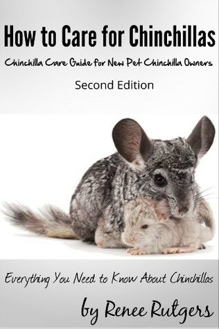 How to Care for Chinchillas: Chinchilla Care Guide for New Pet ...