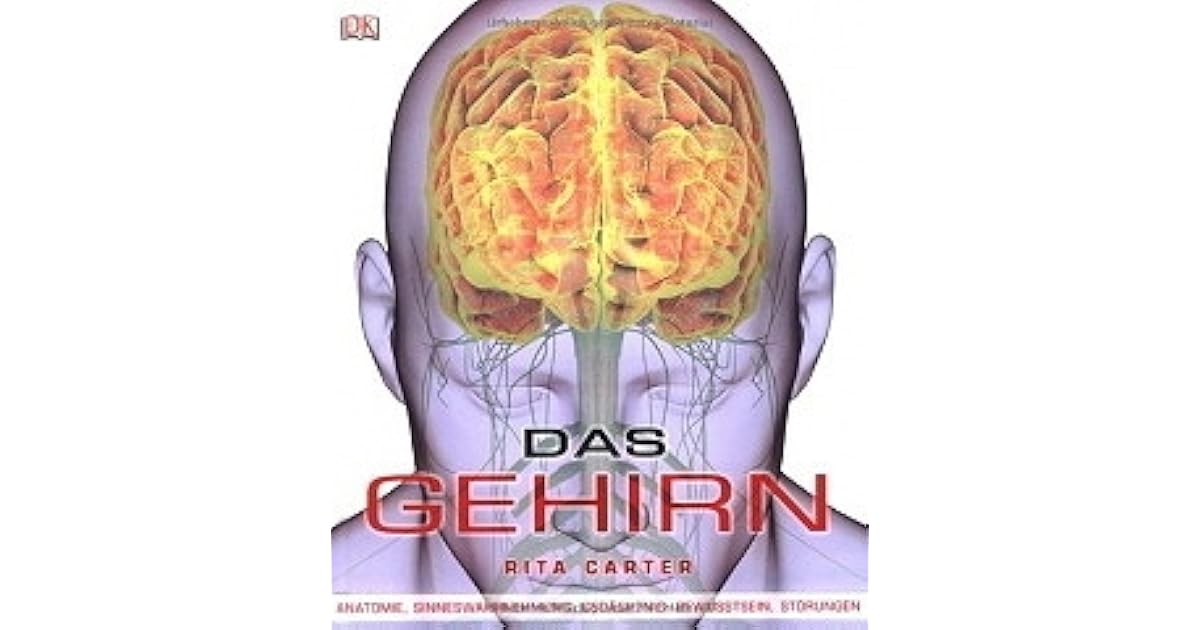 Das Gehirn: Anatomie, Sinneswahrnehmung, Gedächtnis, Bewusstsein ...