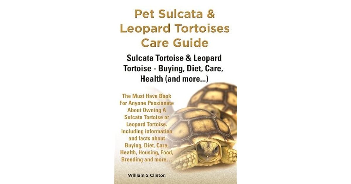 Pet Sulcata and Leopard Tortoises Care Guide: Sulcata Tortoise (African ...