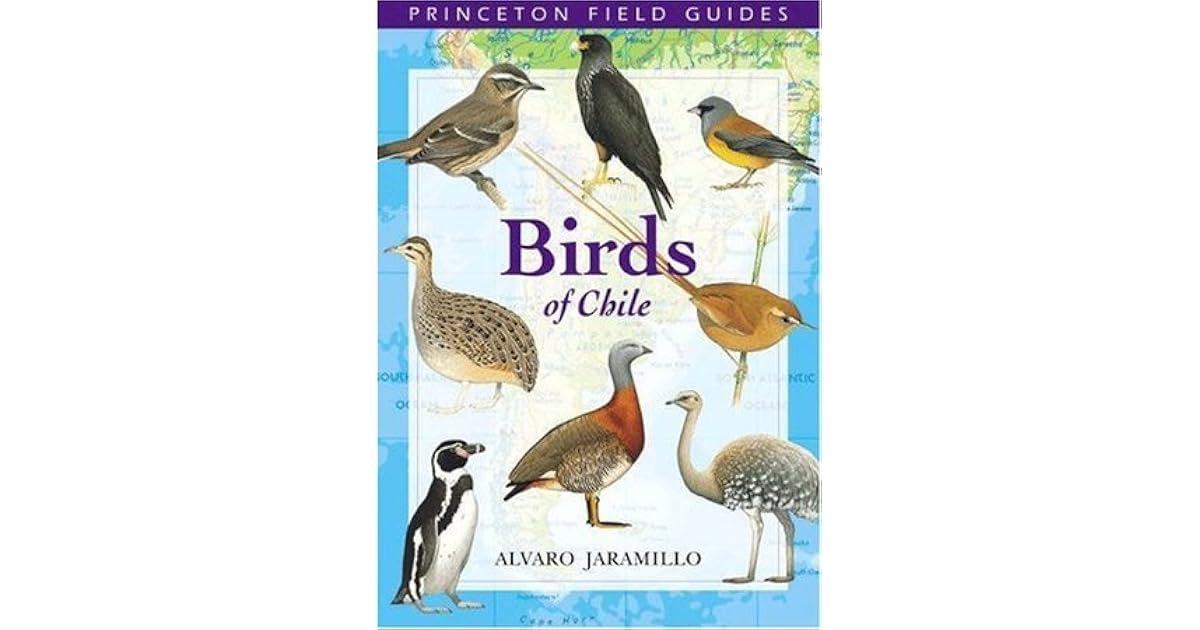 Birds of Chile by Alvaro Jaramillo