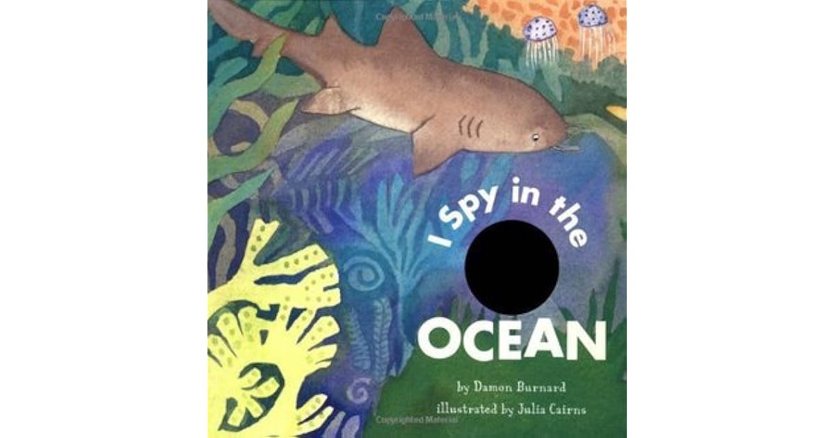 I Spy in the Ocean by Damon Burnard