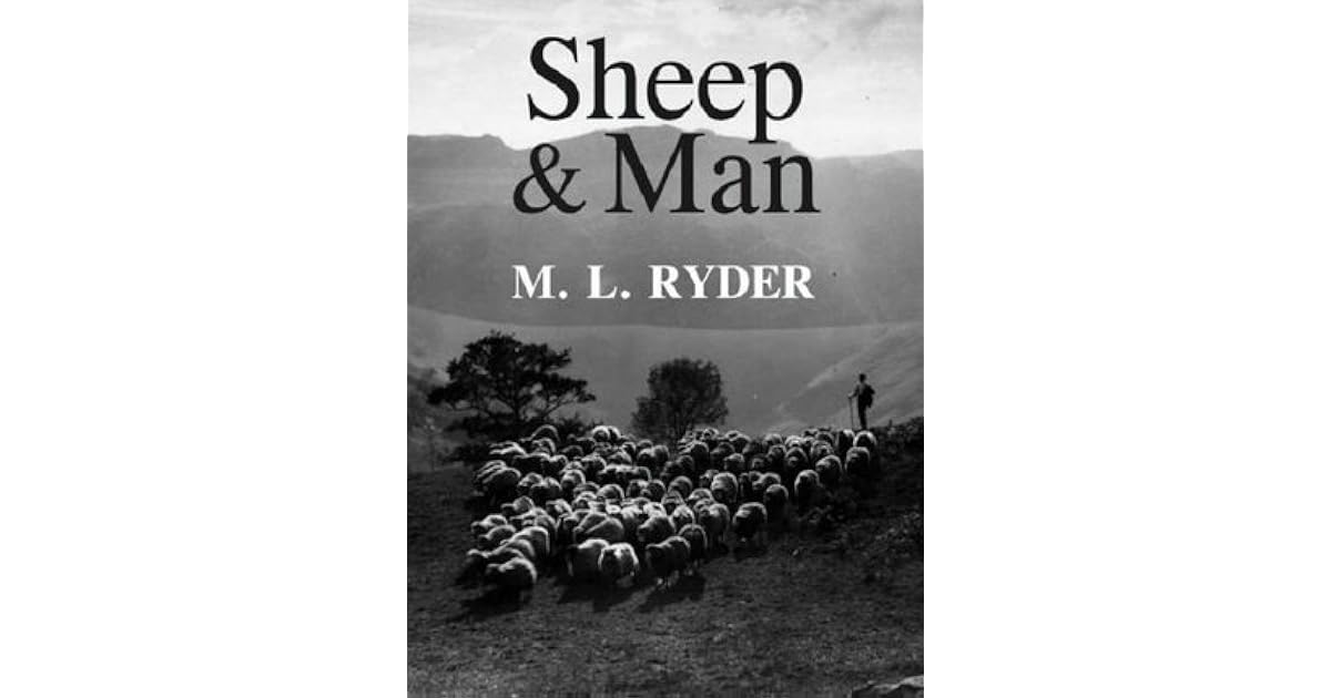 Sheep and Man by Michael L. Ryder