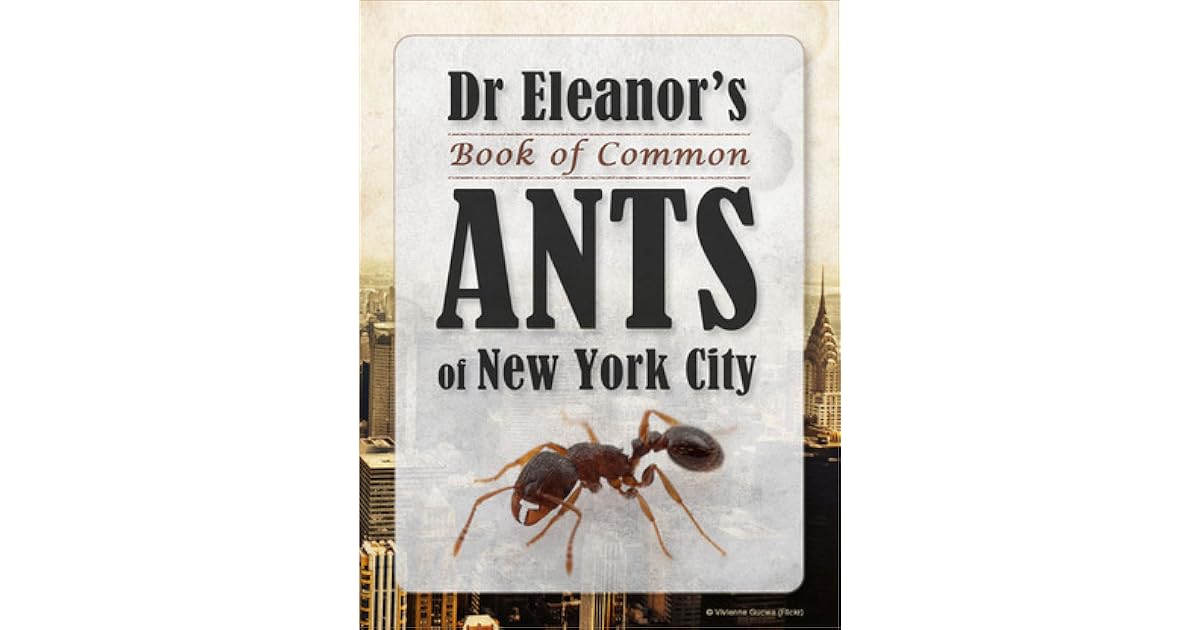 Dr. Eleanor’s Book of Common Ants of New York City by Eleanor Spicer Rice