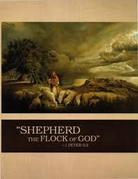 Shepherd The Flock of God by Watch Tower Bible and Tract Society